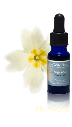 Primrose - Flower essences from Wildflower Essences
